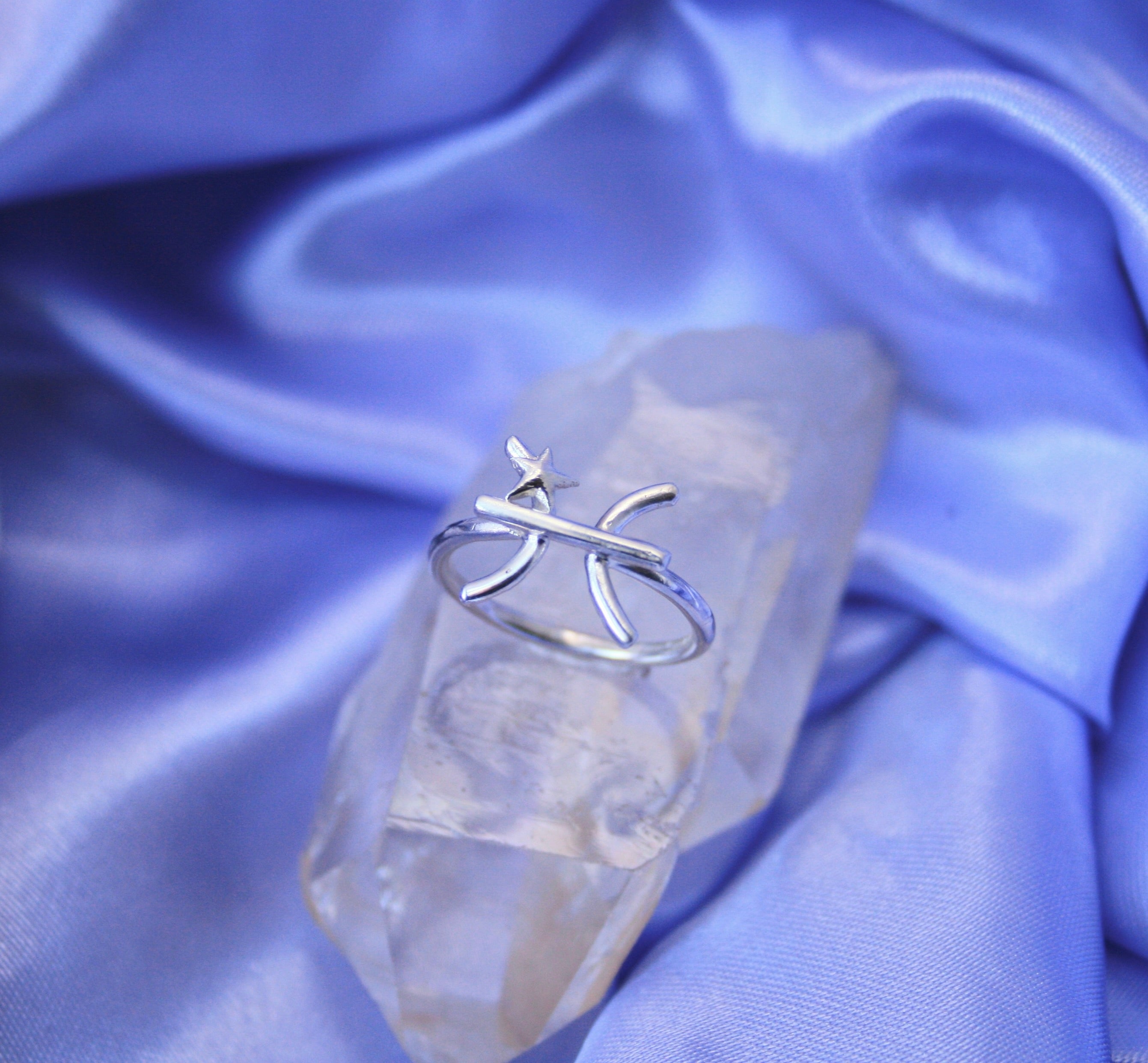 Pesci / Zodiac Rings - anello zodiacale del segno Pesci – Cosmica Gioielli